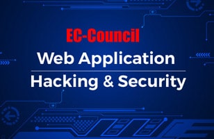 Web Application Hacking and Security (WAHS) | Web Application Hacking Course
